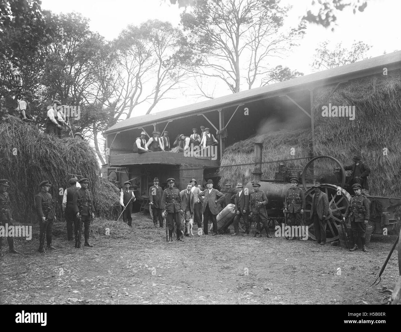 Thrashing ⁄ Threshing Stock Photo - Alamy