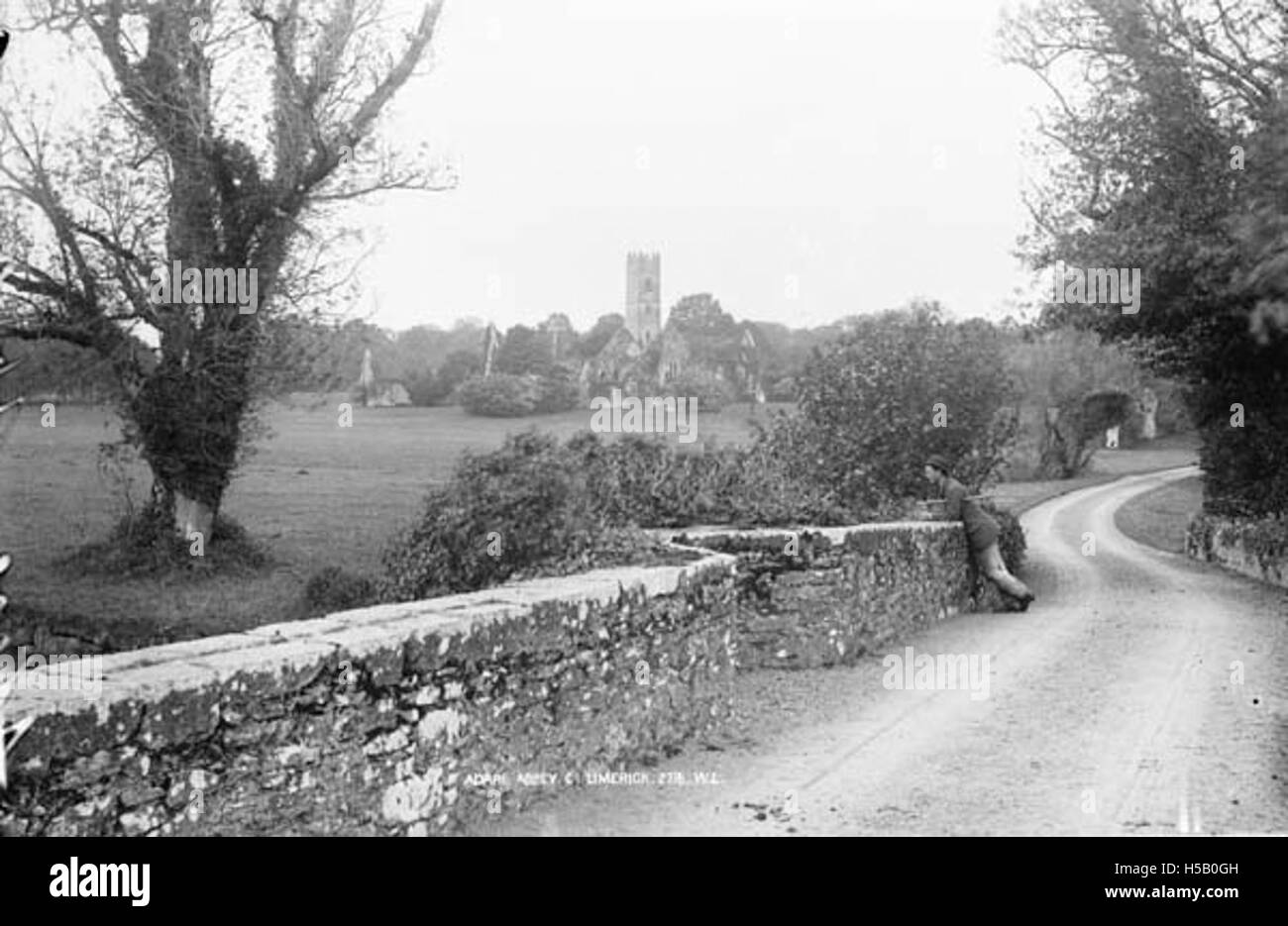 The Abbey in Adare, Limerick, is a historical structure known for its ...
