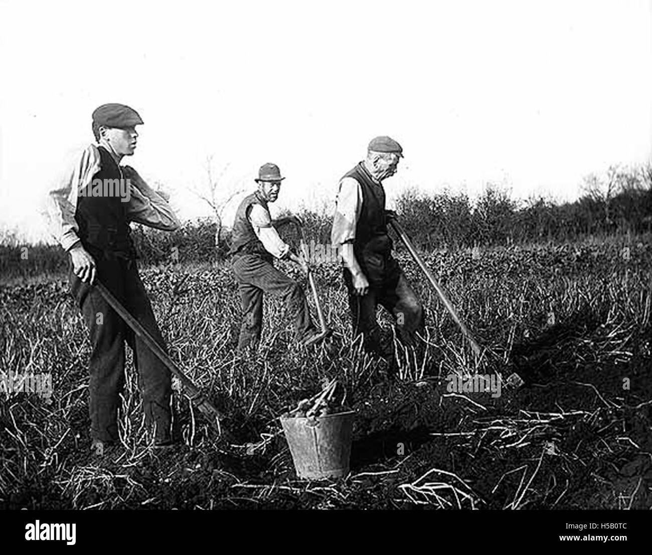 Showcases production Black and White Stock Photos & Images - Alamy