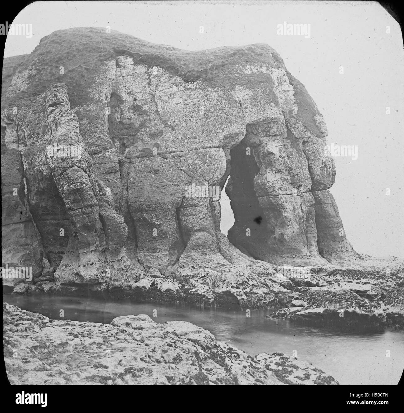 Elephant Rock is a geological formation located along the coast ...