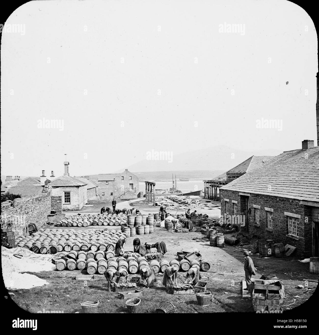 Barrels salt fish hi-res stock photography and images - Alamy