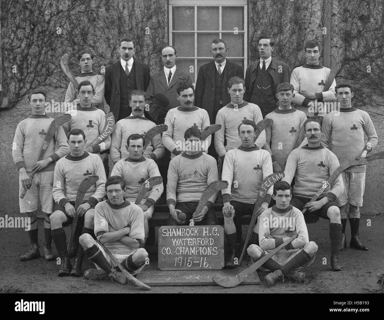 An image of the Shamrock Hurling Club in Waterford, showcasing the club ...