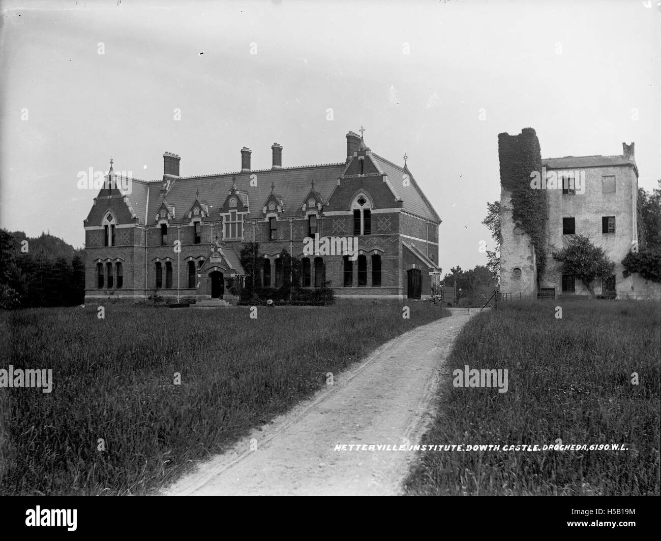 Netterville hi-res stock photography and images - Alamy