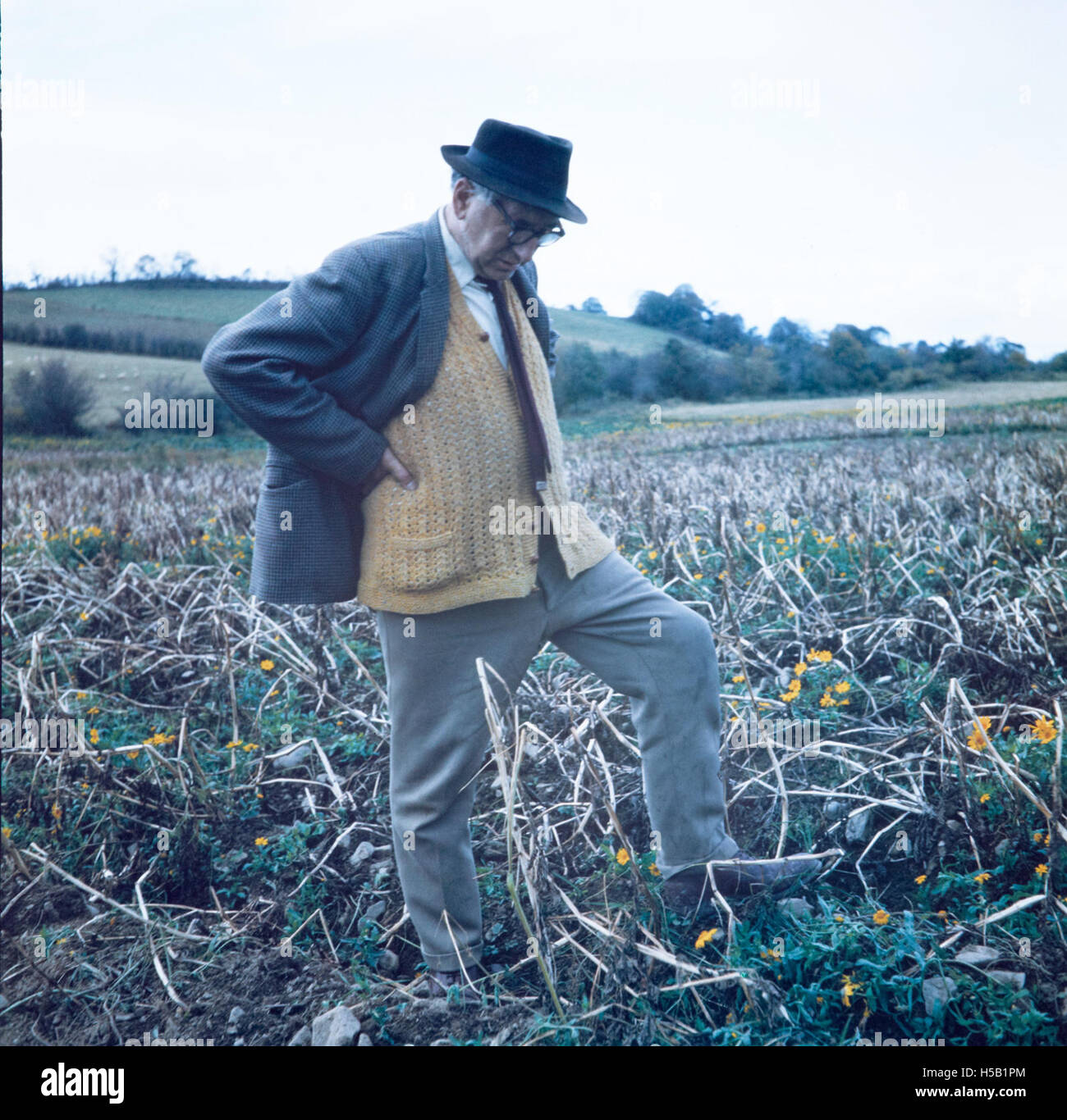 Nature and literature hi-res stock photography and images - Alamy