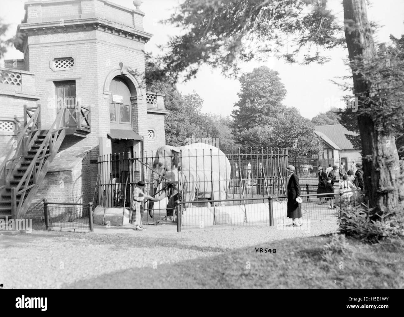 Animal exhibits Black and White Stock Photos & Images - Alamy