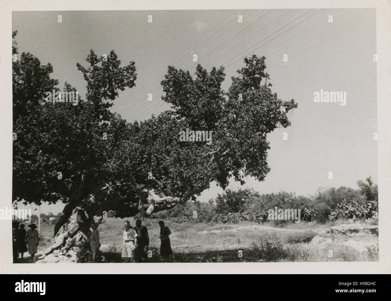 Szold hi-res stock photography and images - Alamy