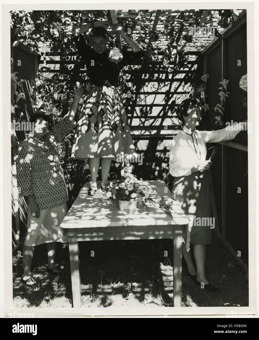 Succoth (Sukkot) is a Jewish holiday that celebrates the harvest and ...