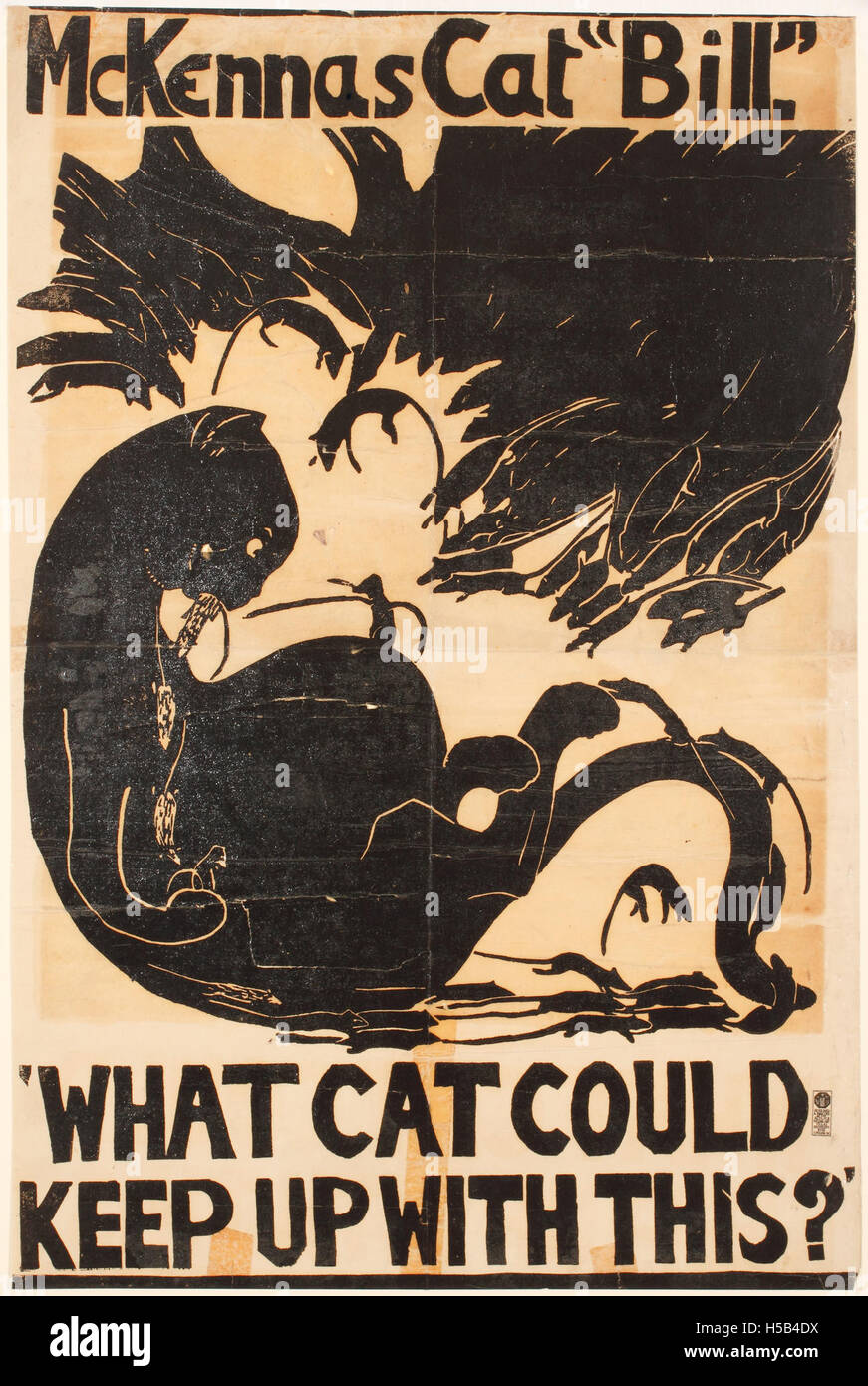 Suffrage campaigning; What Cat Could Keep Up With This¿ 1913-1914 Stock ...
