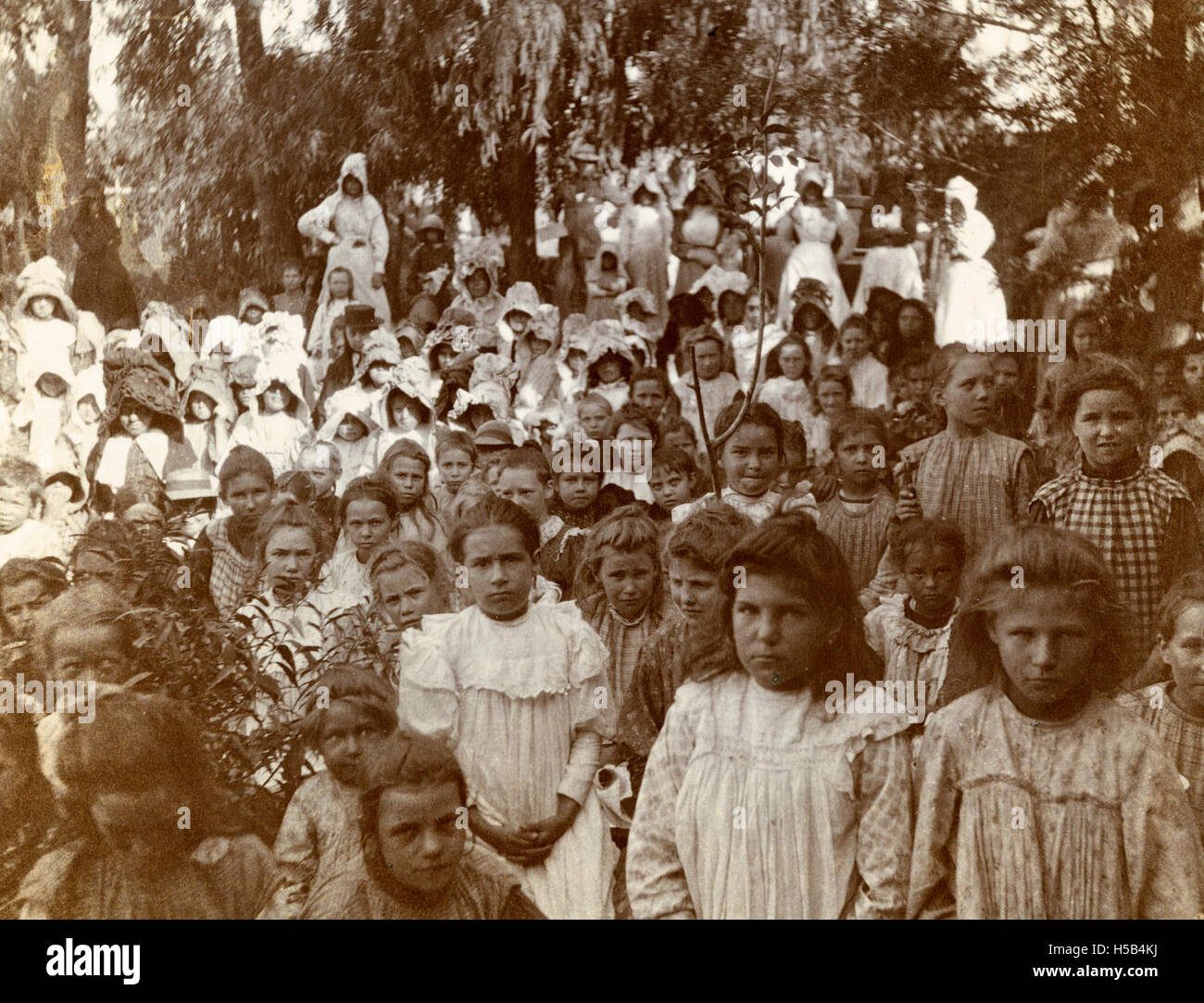 Nylstroom hi-res stock photography and images - Alamy