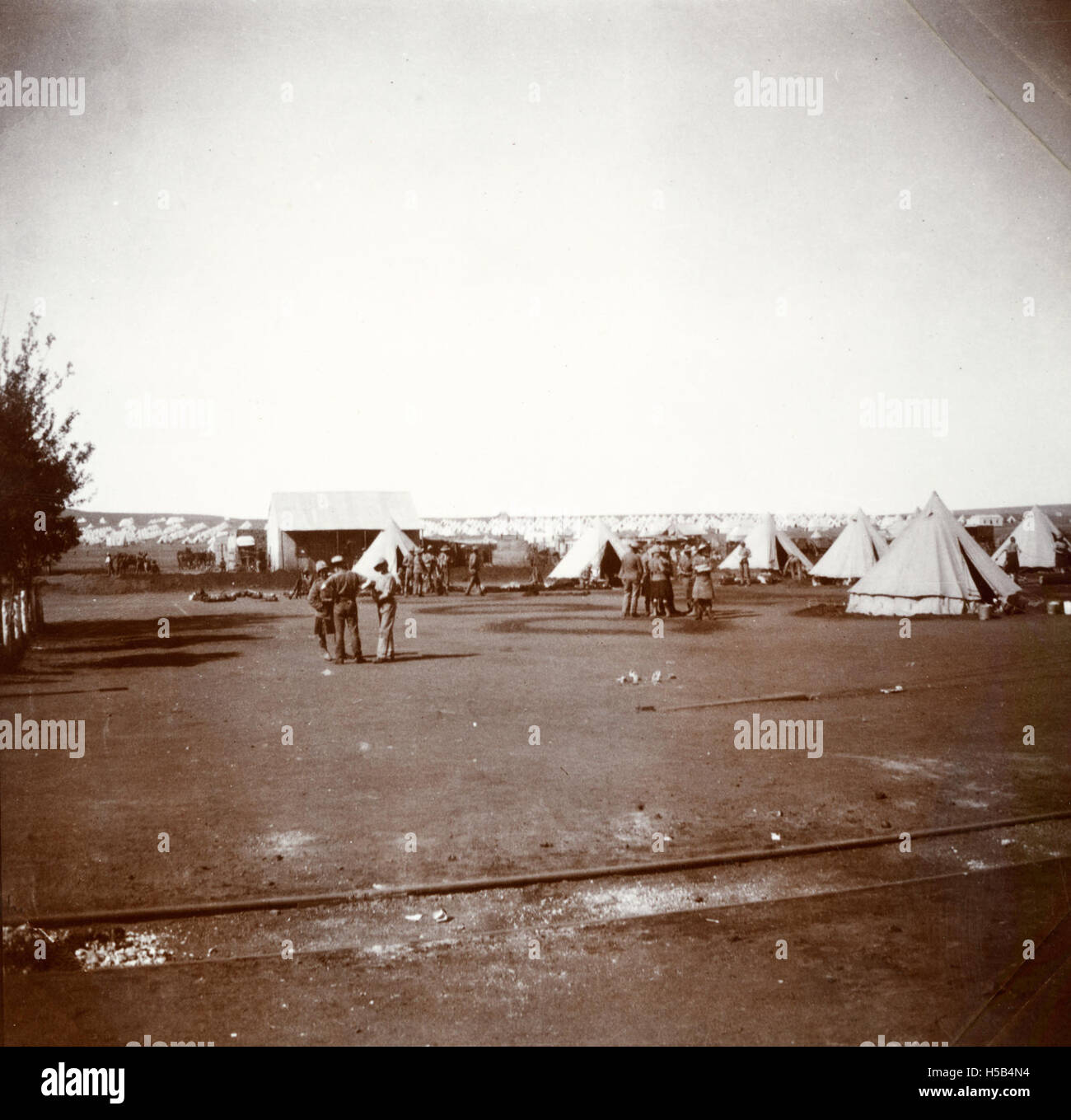 Balmoral Camp, established around 1901, was a key site for military ...