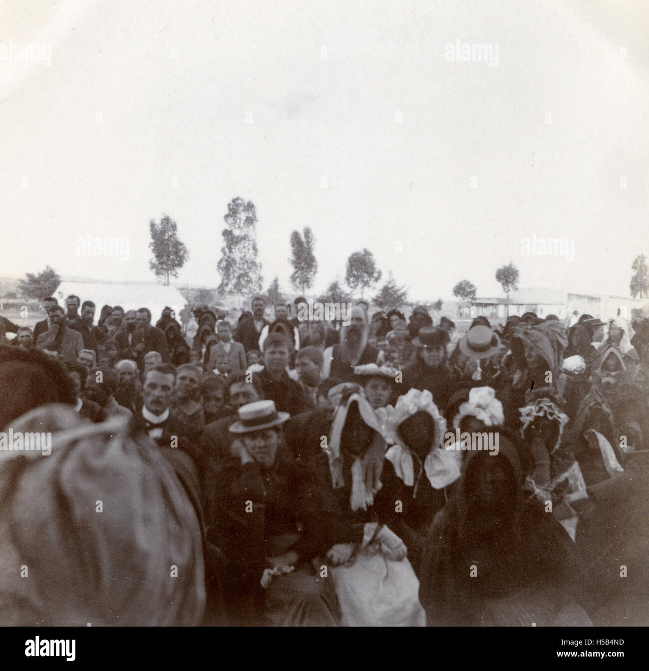 Nylstroom hi-res stock photography and images - Alamy