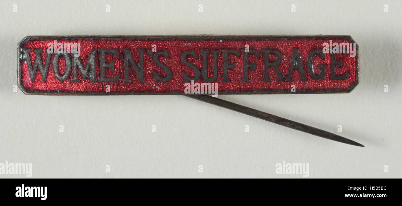 This image captures the National Union of Women's Suffrage Societies ...