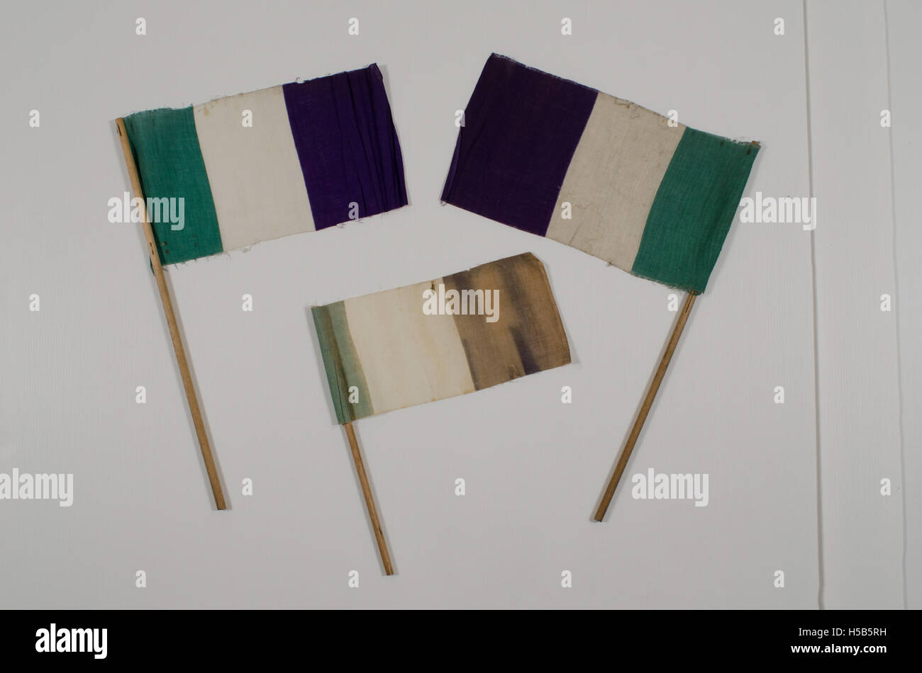 This image shows flags on sticks from the Women's Social & Political ...