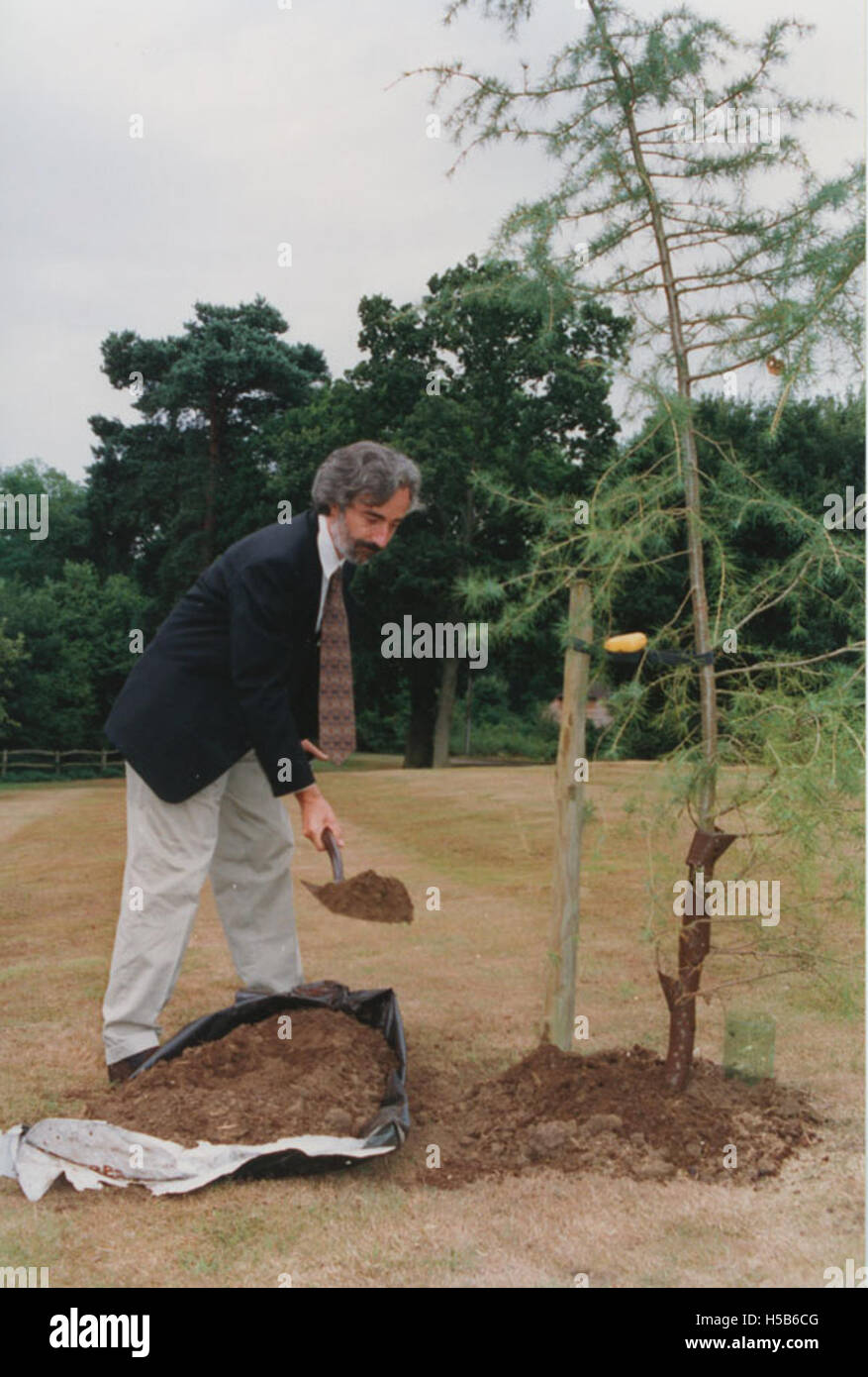 Tree planting traditions hi-res stock photography and images - Alamy