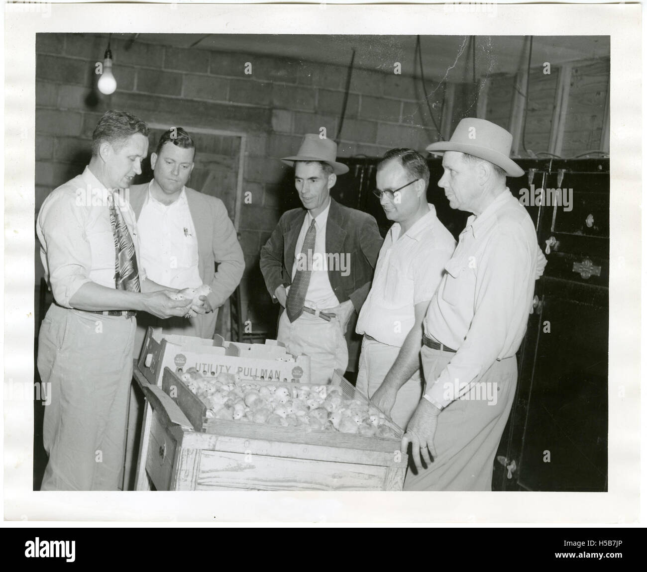The Forrest County Cooperative was an agricultural cooperative serving ...