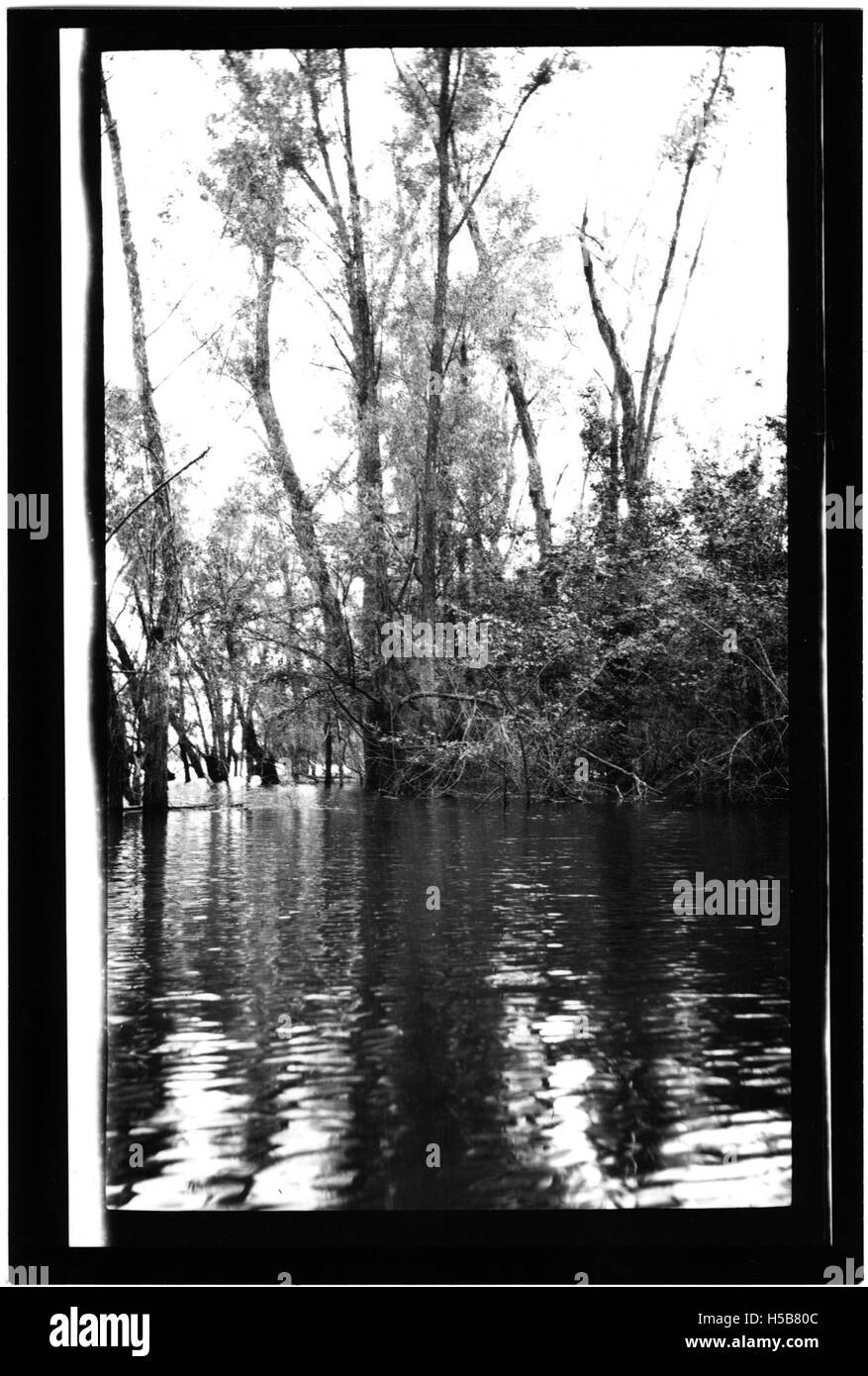 Views of the Moon Lake Club House and Moon Lake offer a scenic look at ...