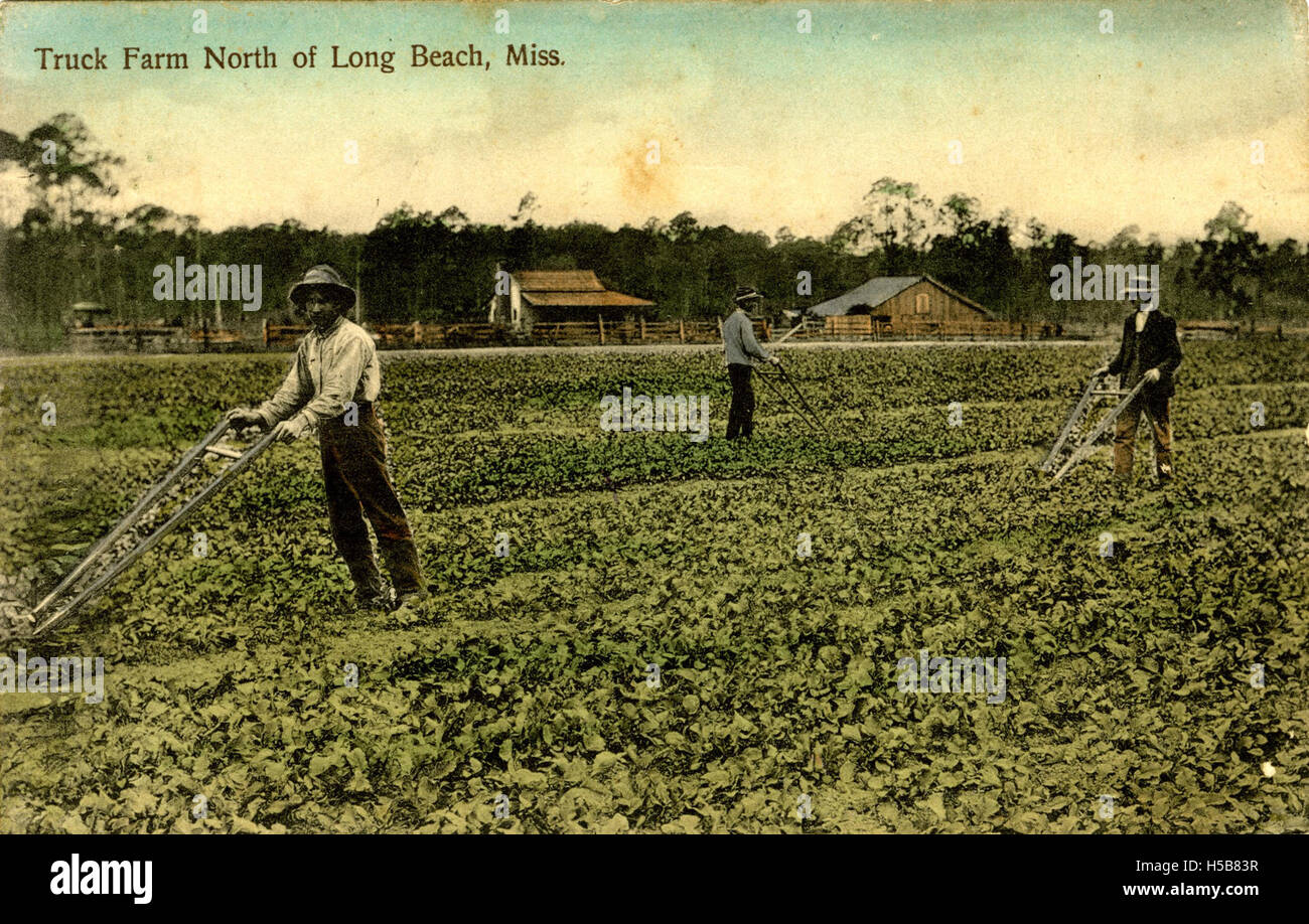 A truck farm located north of Long Beach, Mississippi, during the 20th ...