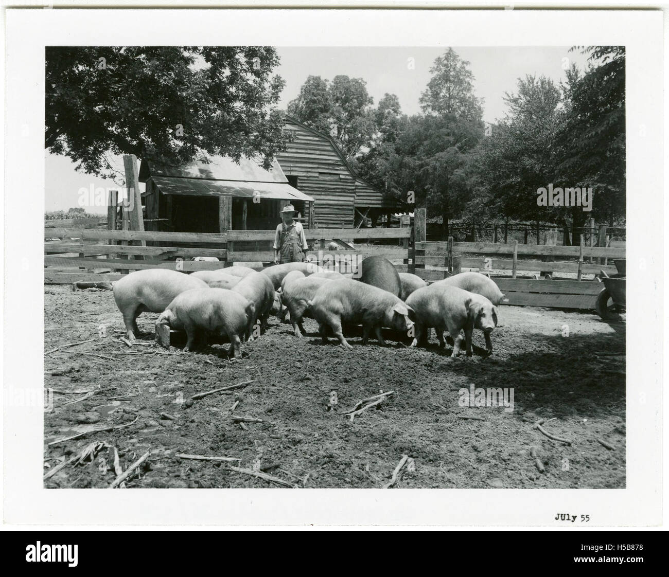 The Forrest County Cooperative (Co-op) is a community-driven ...