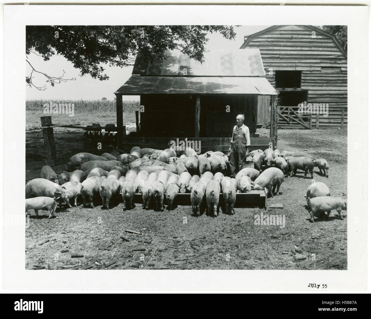 This photograph depicts the Forrest County Co-operative, a farming ...