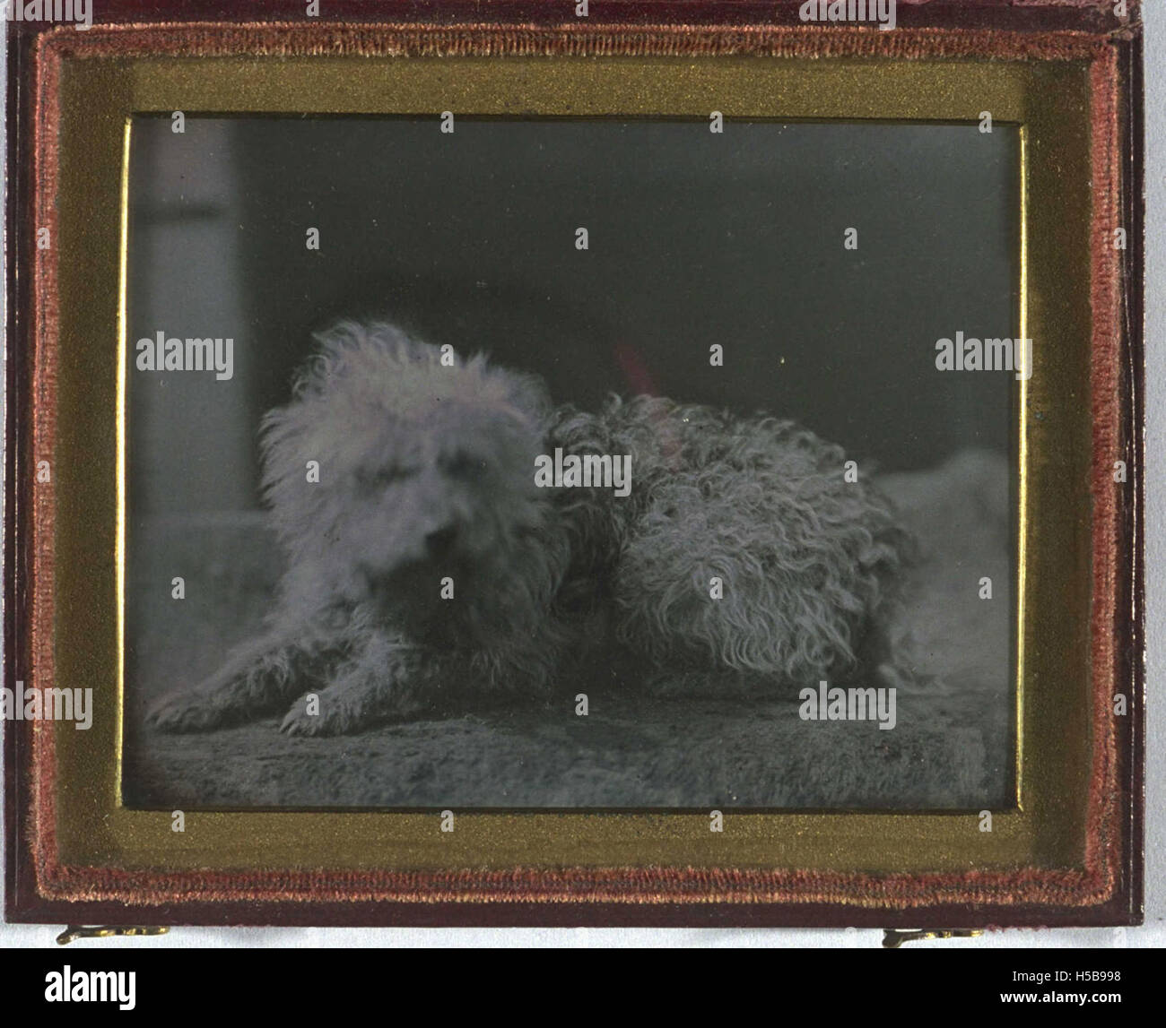 Earliest photography hi-res stock photography and images - Alamy