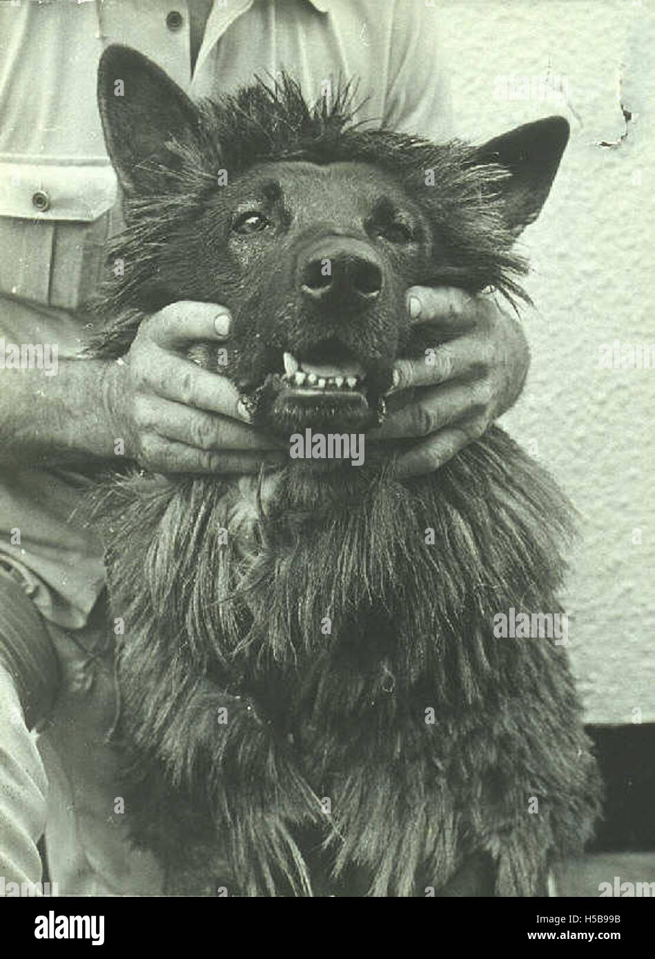 Conan doyle illustrations hi-res stock photography and images - Alamy