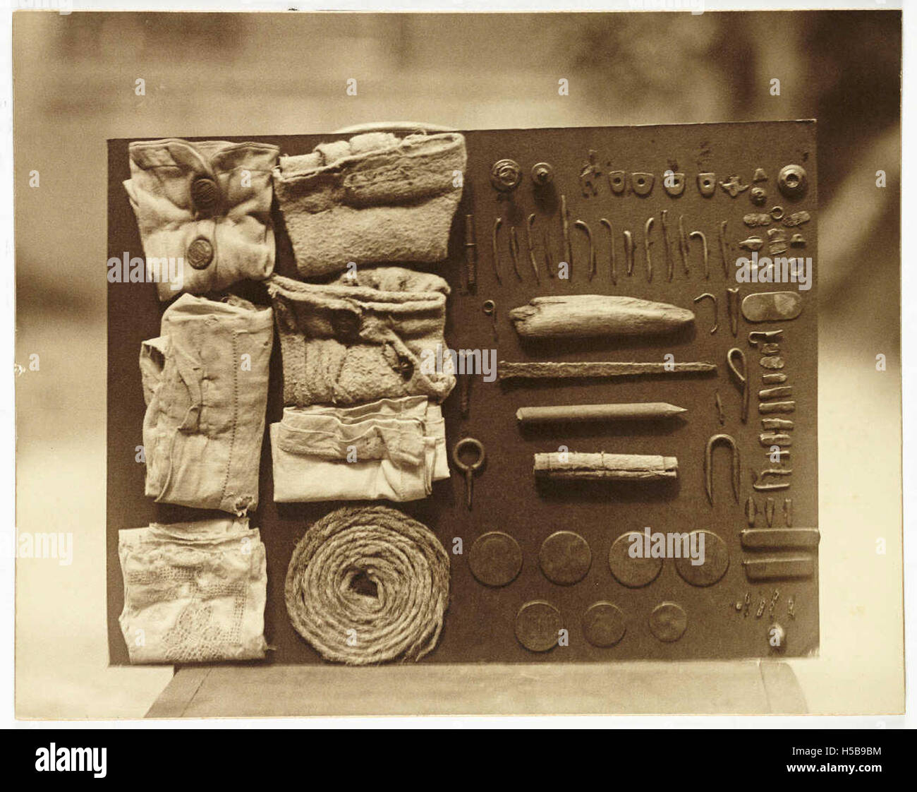 Stomach ostrich hi-res stock photography and images - Alamy