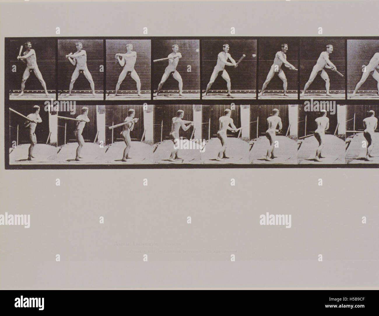 Image from book depicts hi-res stock photography and images - Alamy