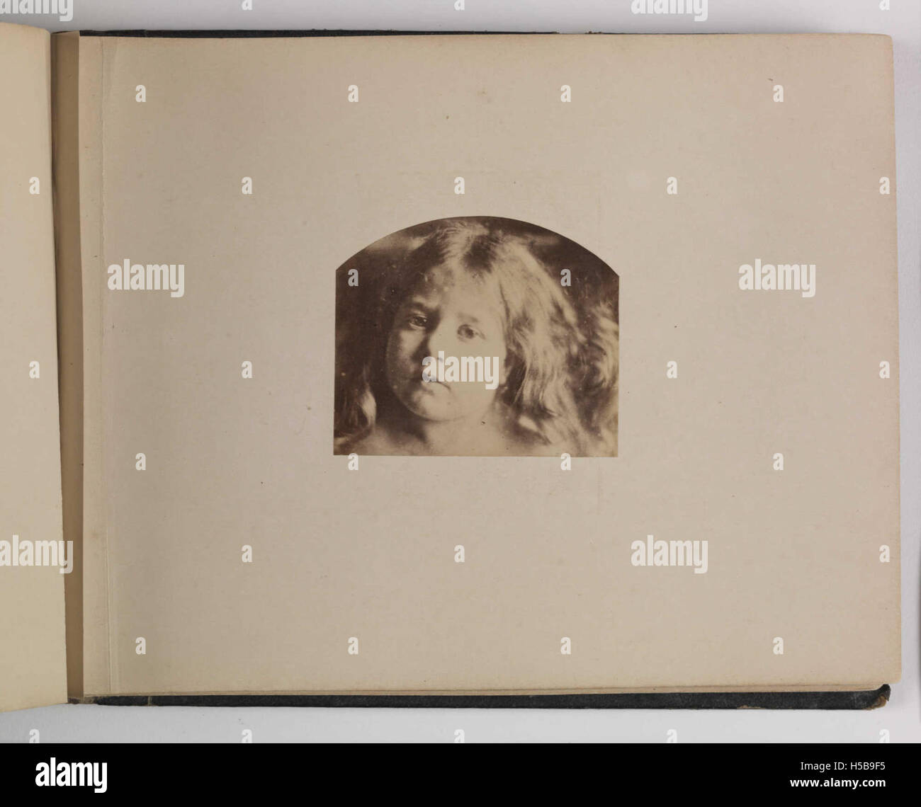 Du cane hi-res stock photography and images - Alamy