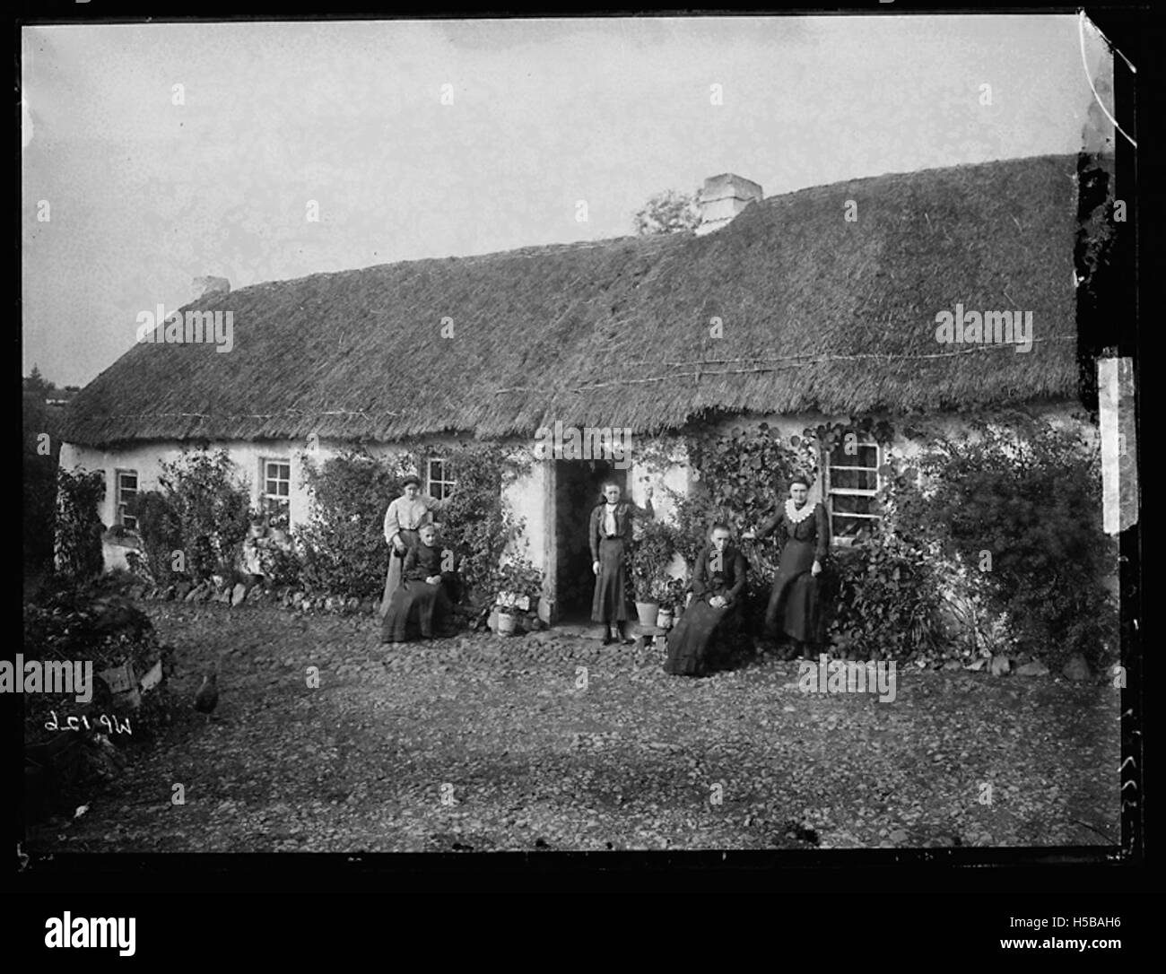 Photo stringer hi-res stock photography and images - Alamy