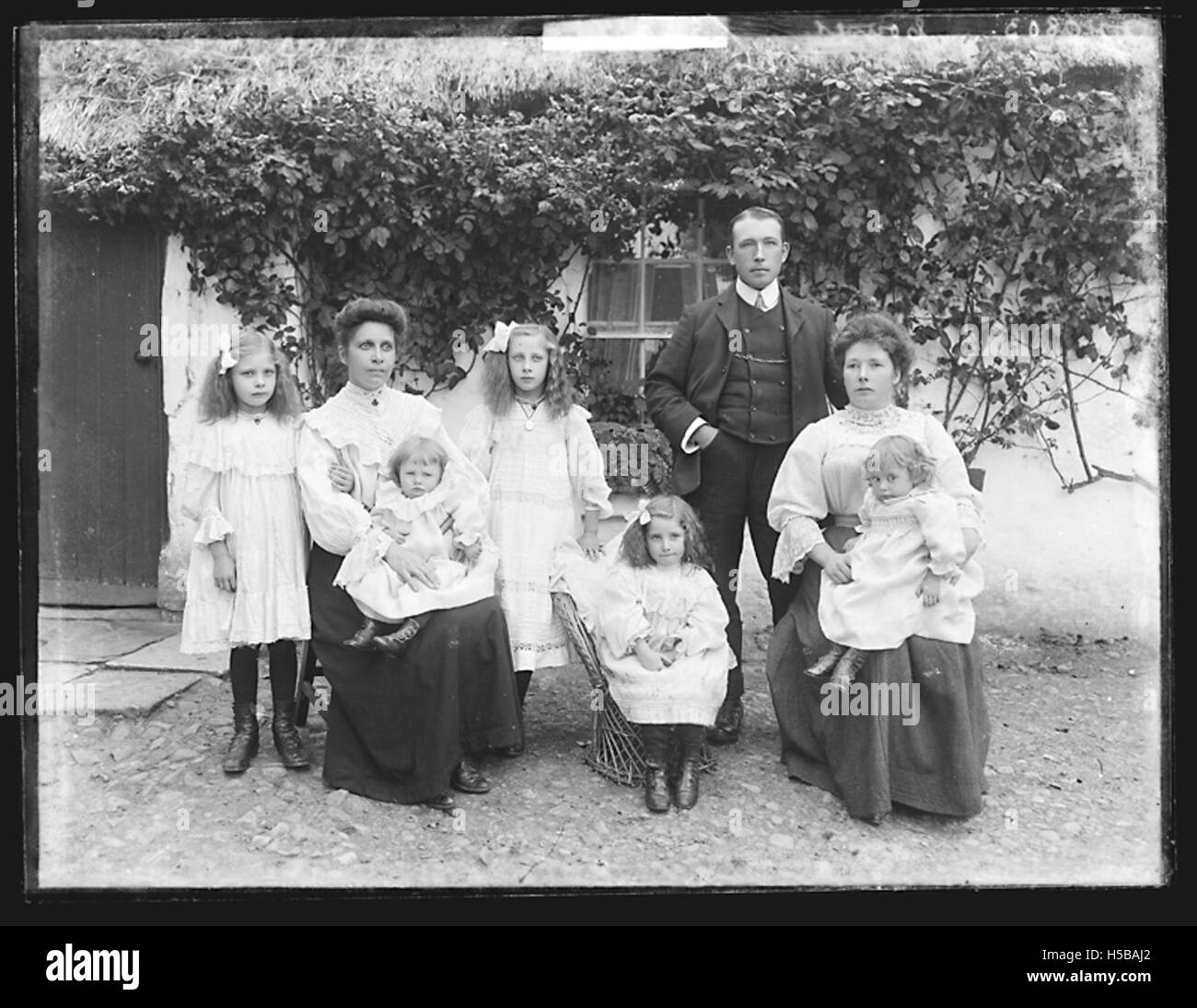 Couser hi-res stock photography and images - Alamy