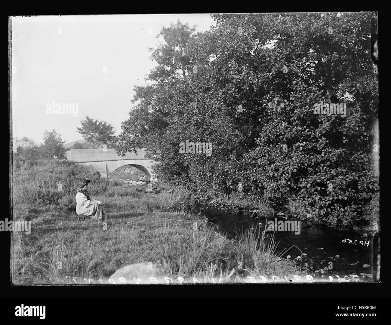 This image shows a scenic view of the riverbank in Warrenpoint, a town ...