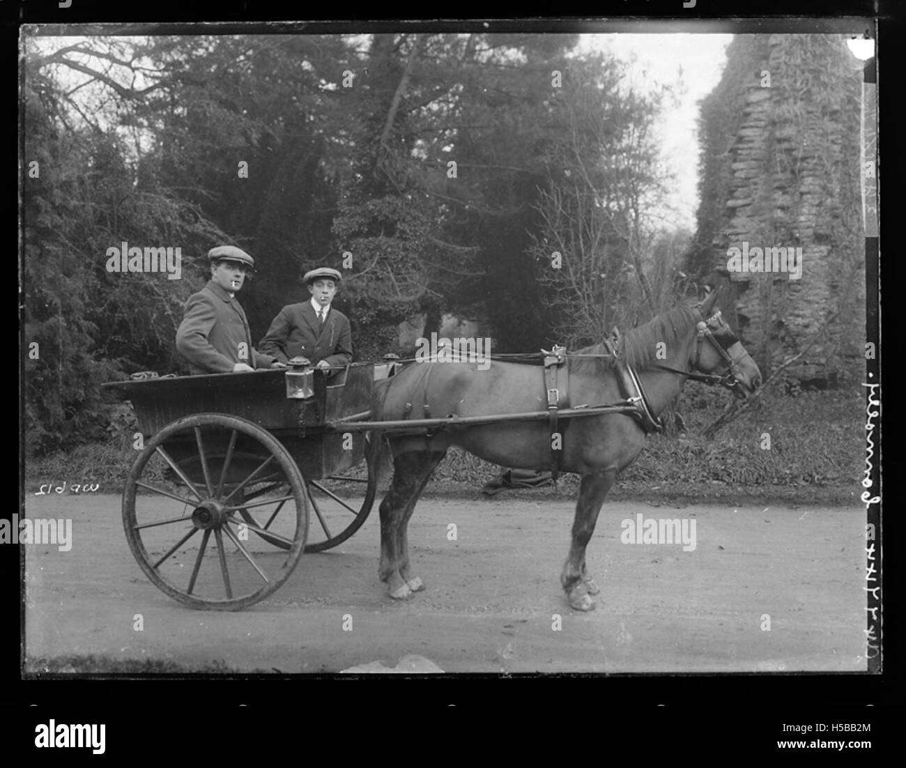 A pony and trap, a horse-drawn carriage commonly used for short ...