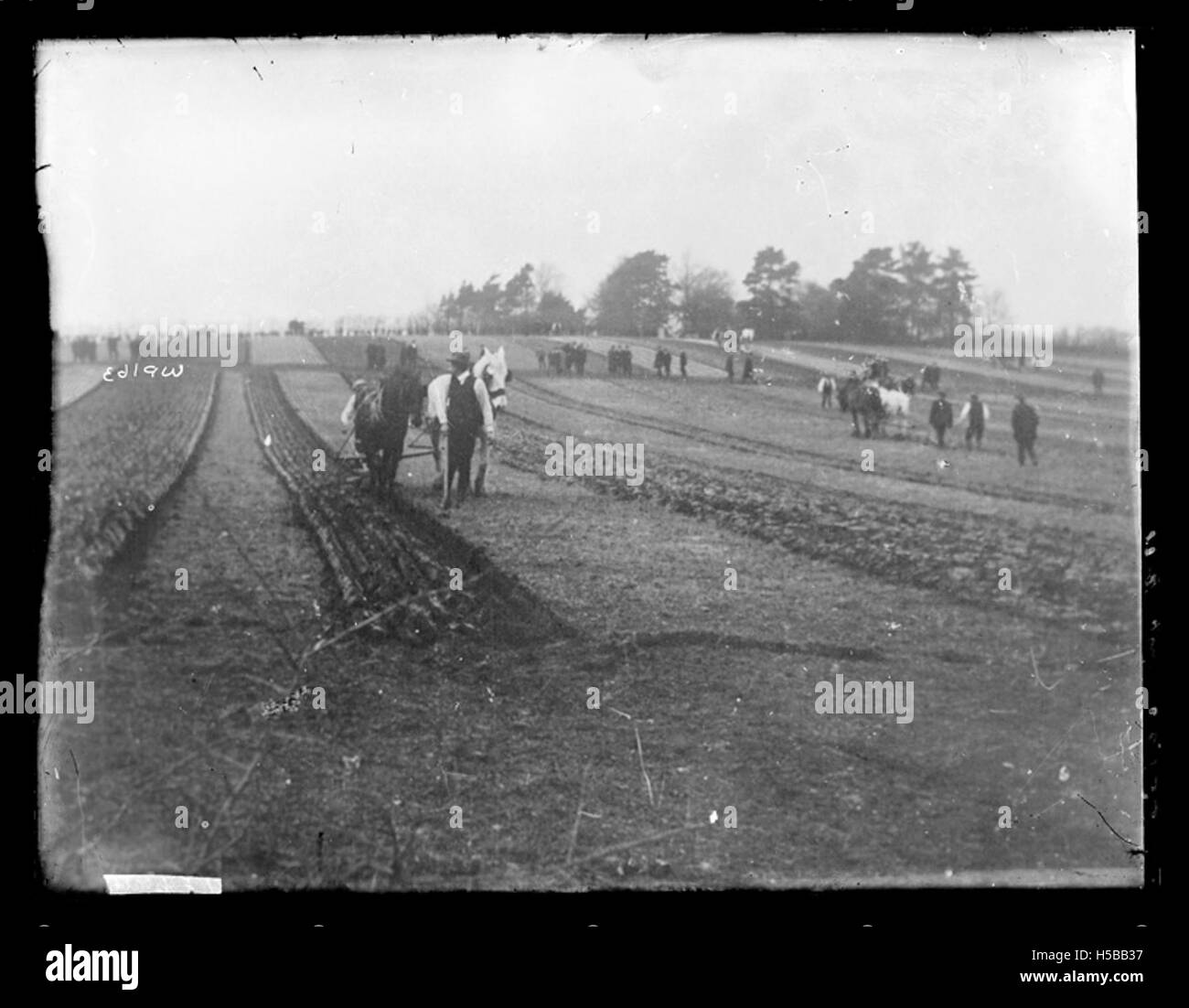 A ploughing match event, showcasing competitive ploughing. This event ...