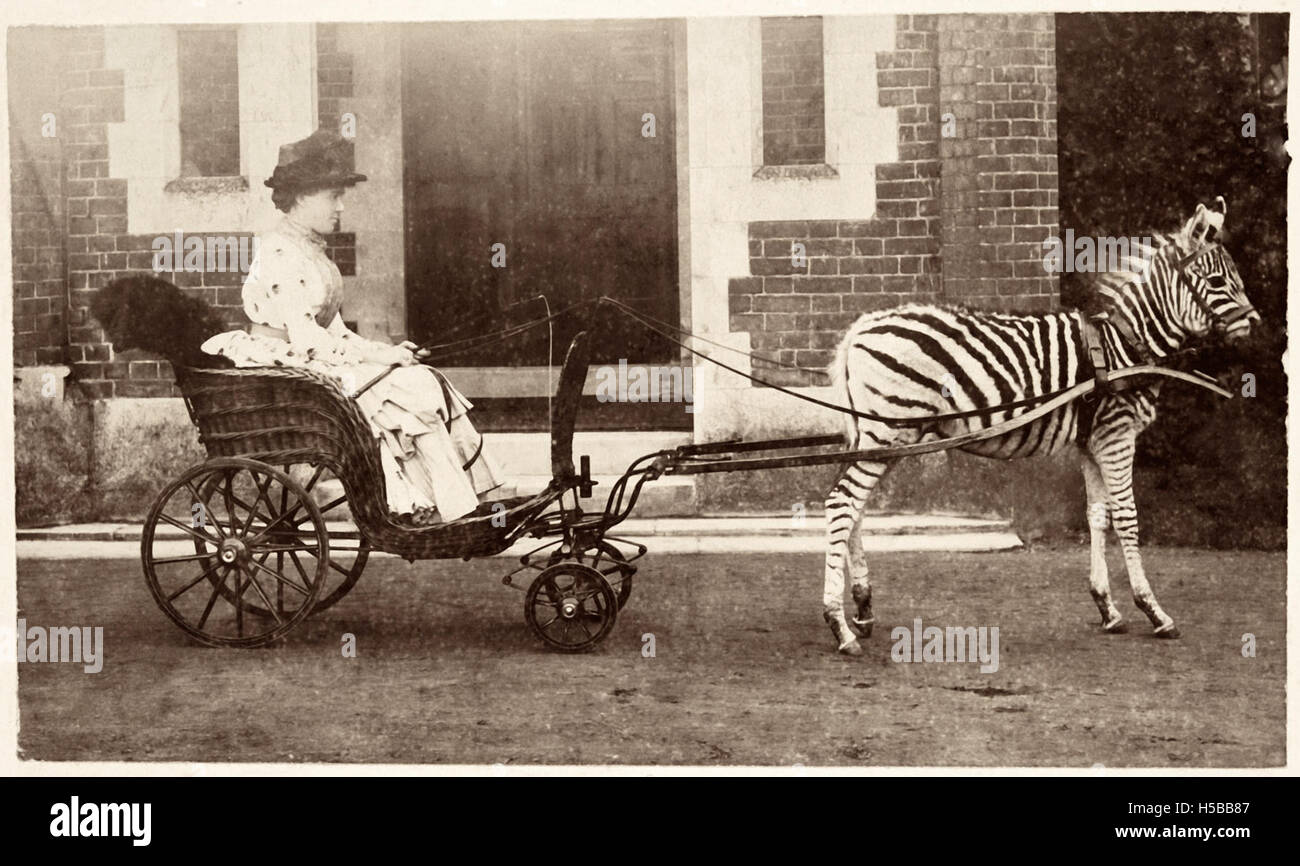 'Go by zebra' refers to the practice of crossing streets at pedestrian ...