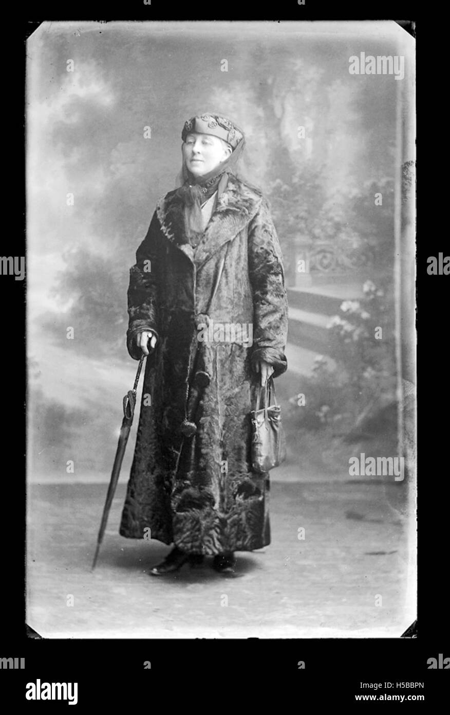 A catalog reference or collection identifier. Further details are ...