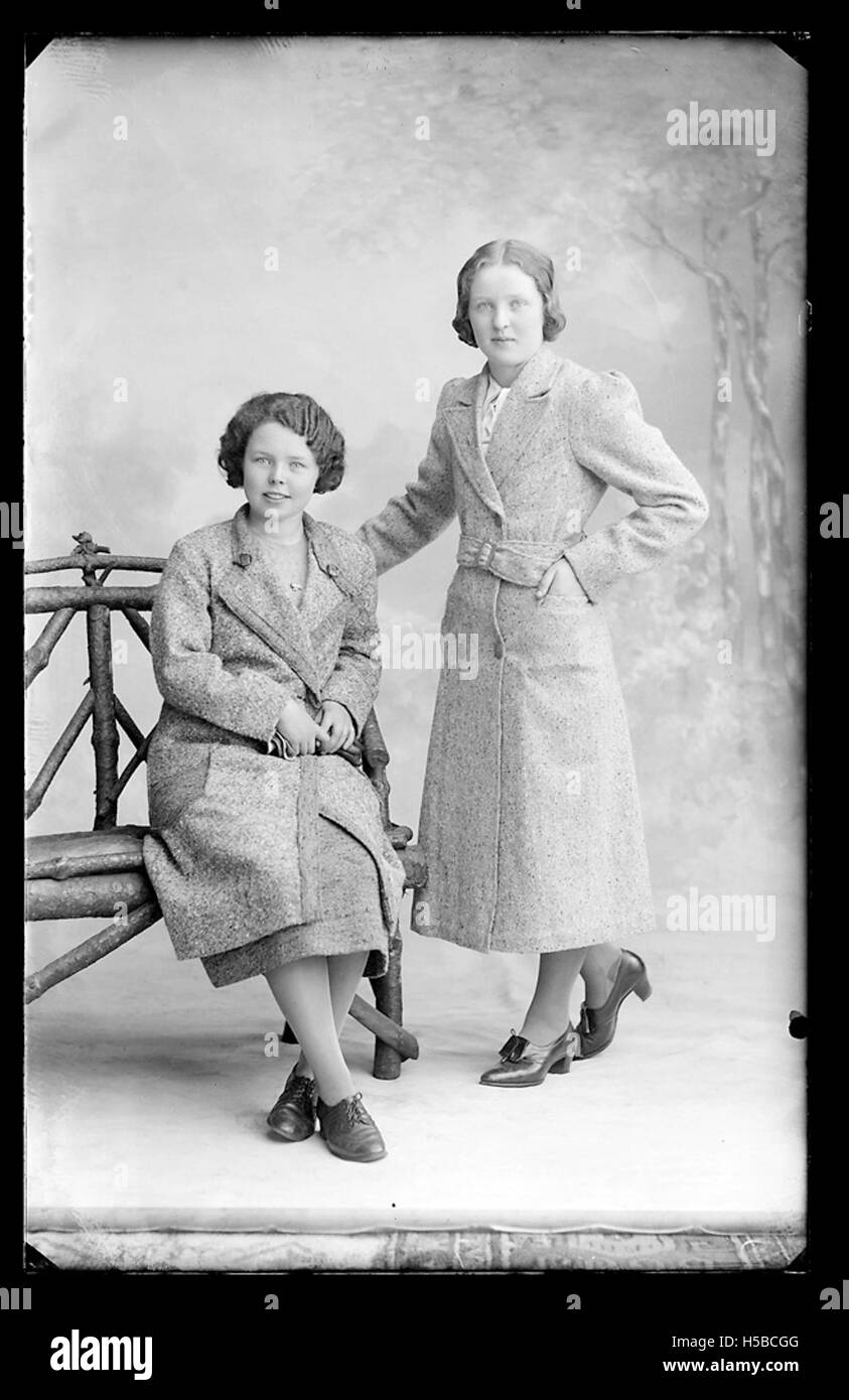 A Numerical Or Coded Reference Possibly Related To A Specific Document Object Or Record