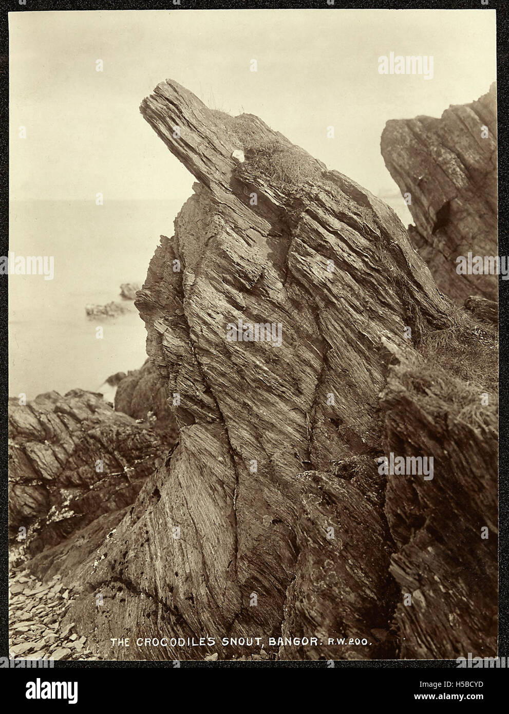 The Crocodile's Snout is a natural rock formation in Bangor, Northern ...