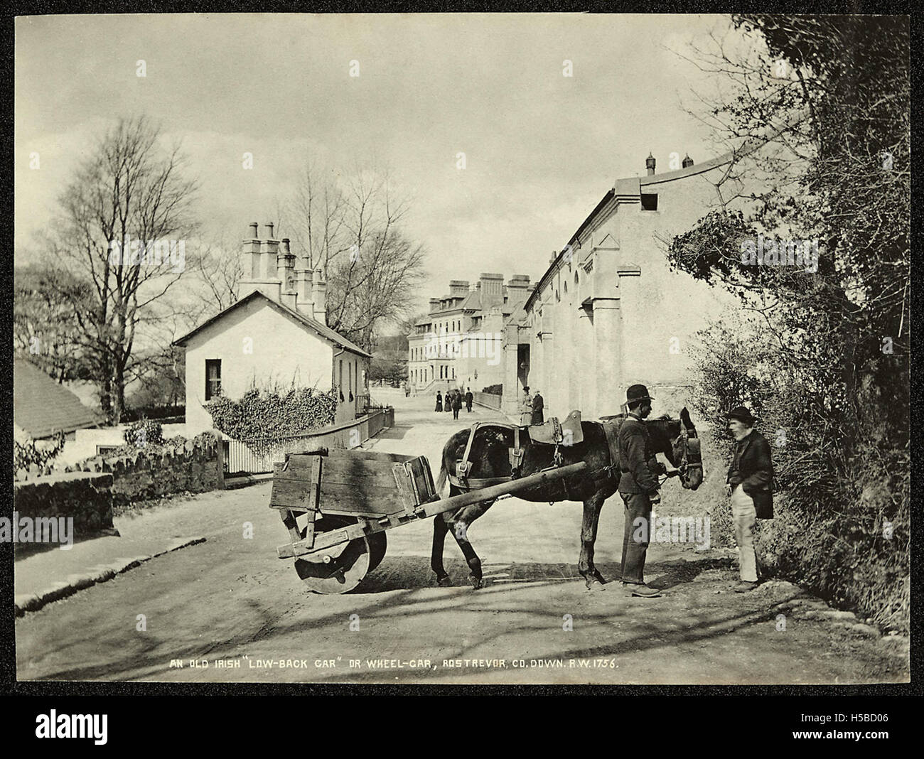 Rostrevor is a village located in County Down, Northern Ireland. Known ...