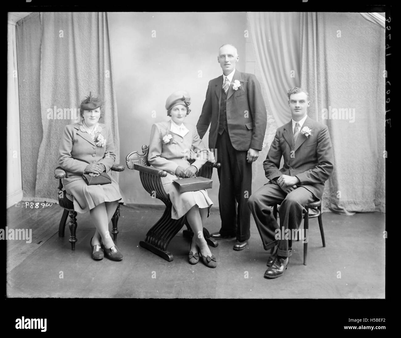 Coote Black and White Stock Photos & Images - Alamy