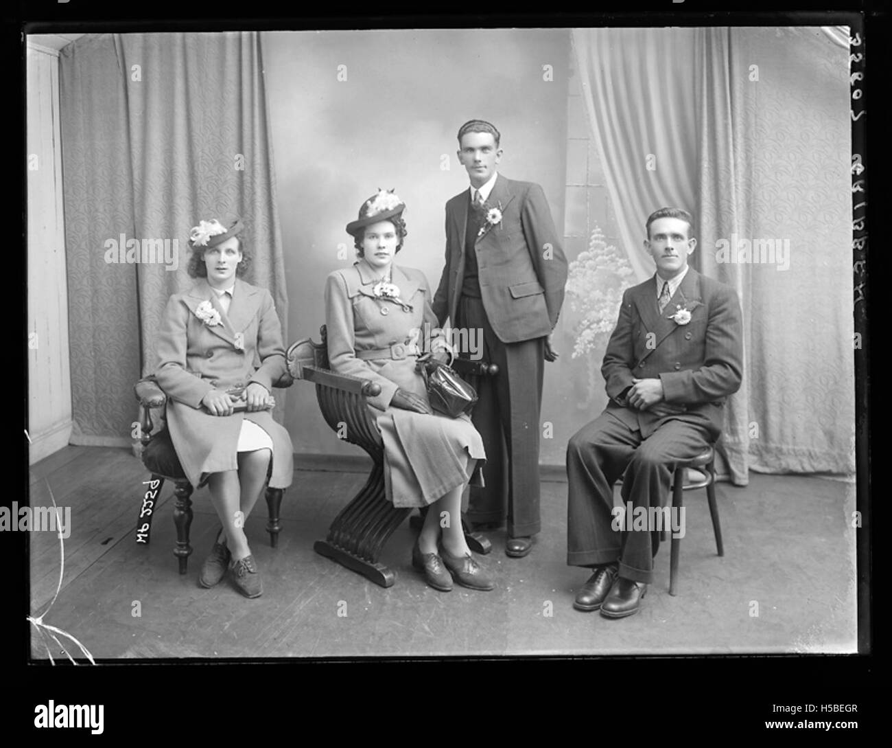 Gribben hi-res stock photography and images - Alamy