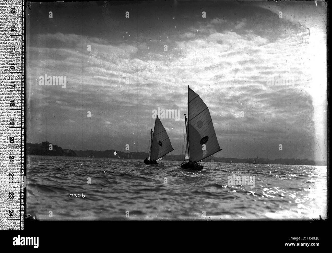 Sloops are depicted sailing on Sydney Harbour, showcasing the elegance ...