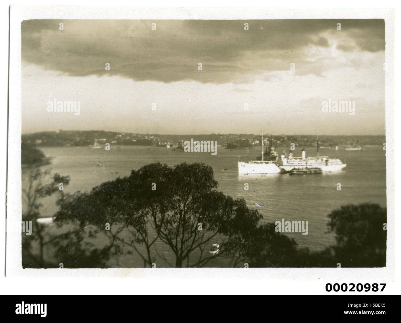 The USS Relief, a hospital ship, is pictured in Sydney Harbour in July ...