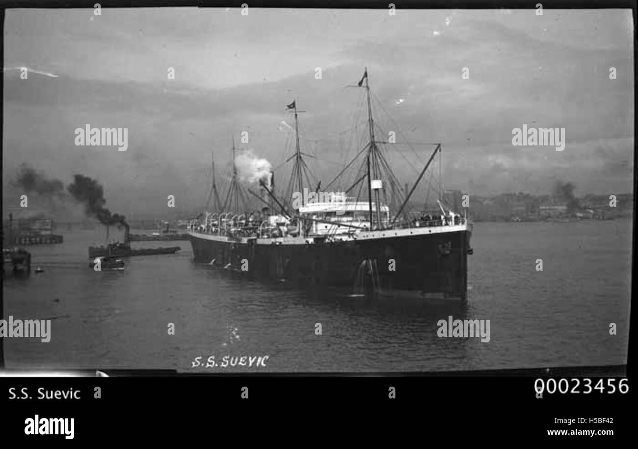 An image of the SS Suevic, a British cargo liner known for its ...