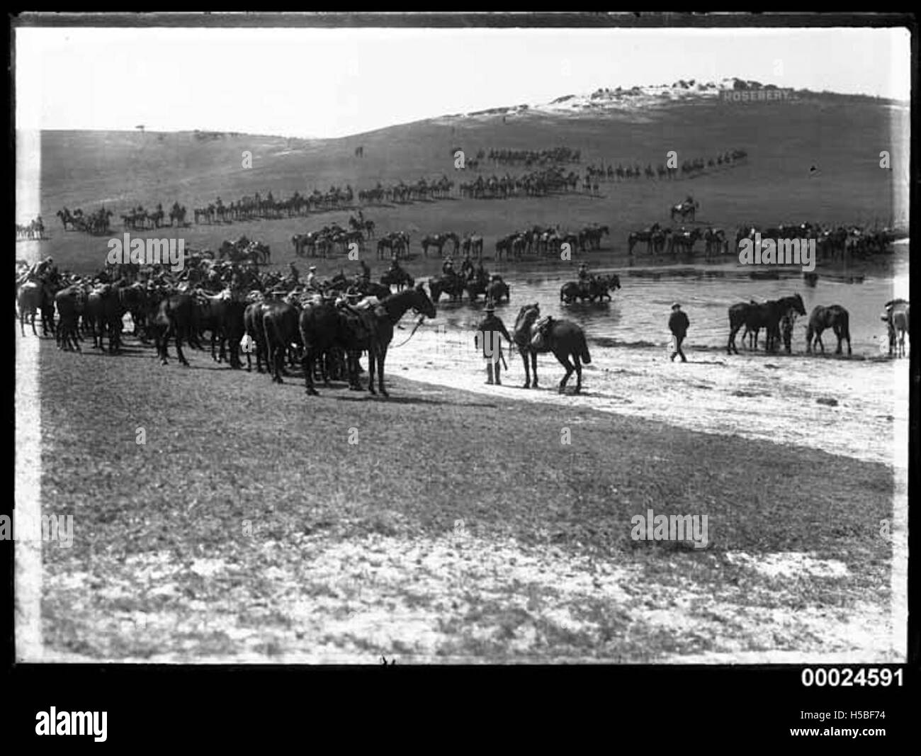 The Australian Light Horse, a famous cavalry unit, is seen at Rosebury ...