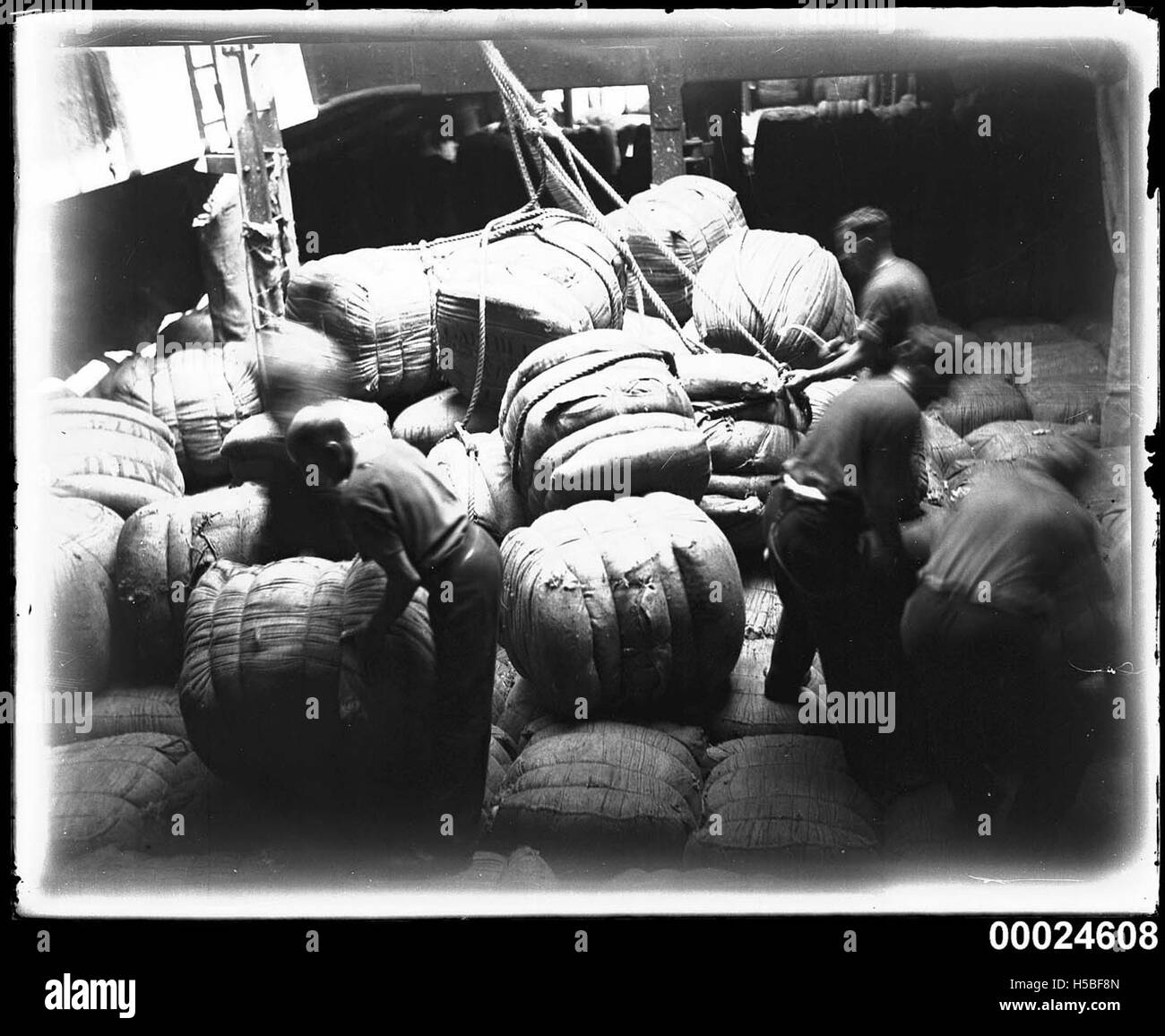 The crew of the vessel MAGDALENE VINNEN is seen packing bales of wool ...