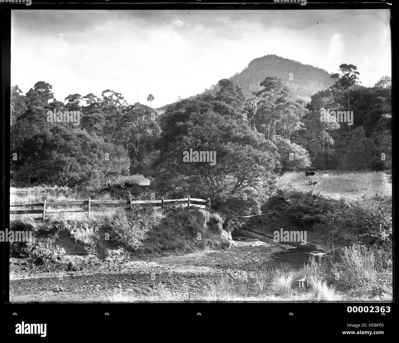 This photograph shows a road within the Australian bush landscape ...