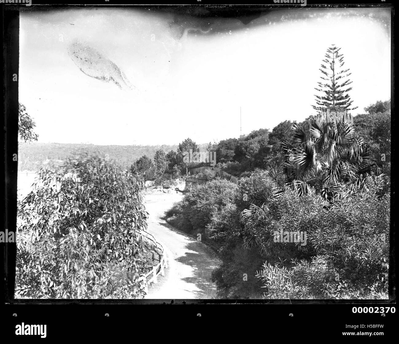 Natural network Black and White Stock Photos & Images - Alamy