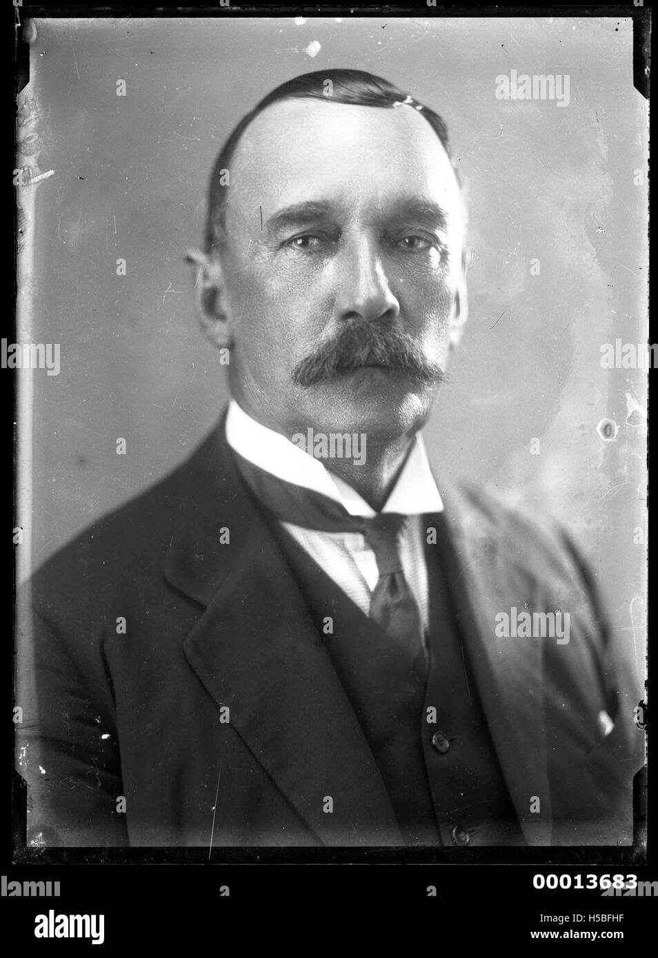 This is a formal portrait of a man, capturing the style and mannerisms ...