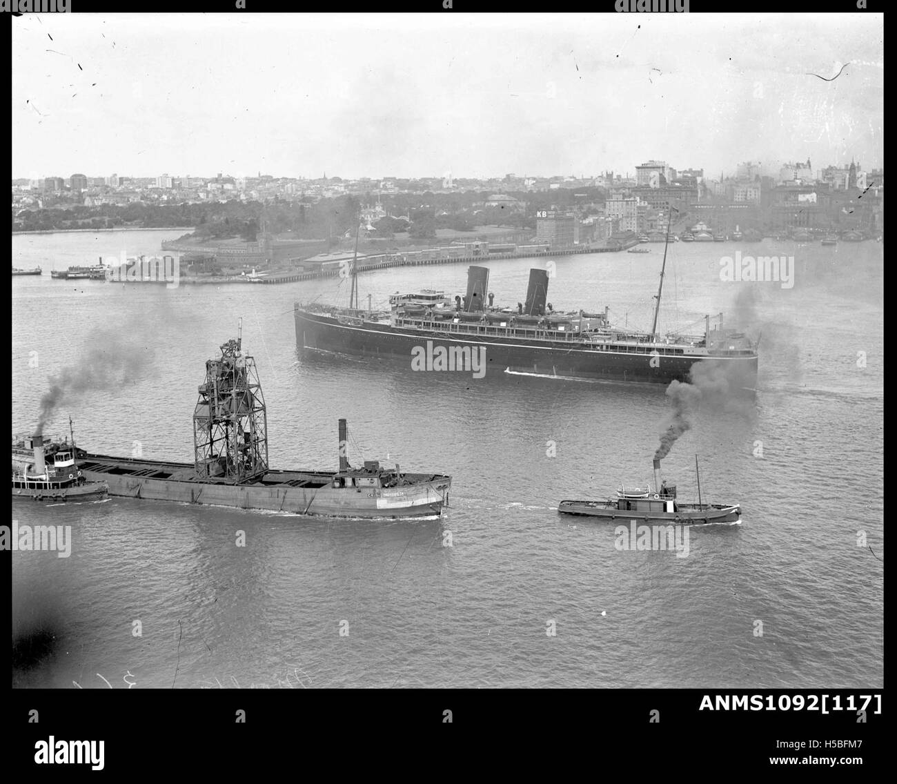 Muscoota High Resolution Stock Photography and Images - Alamy