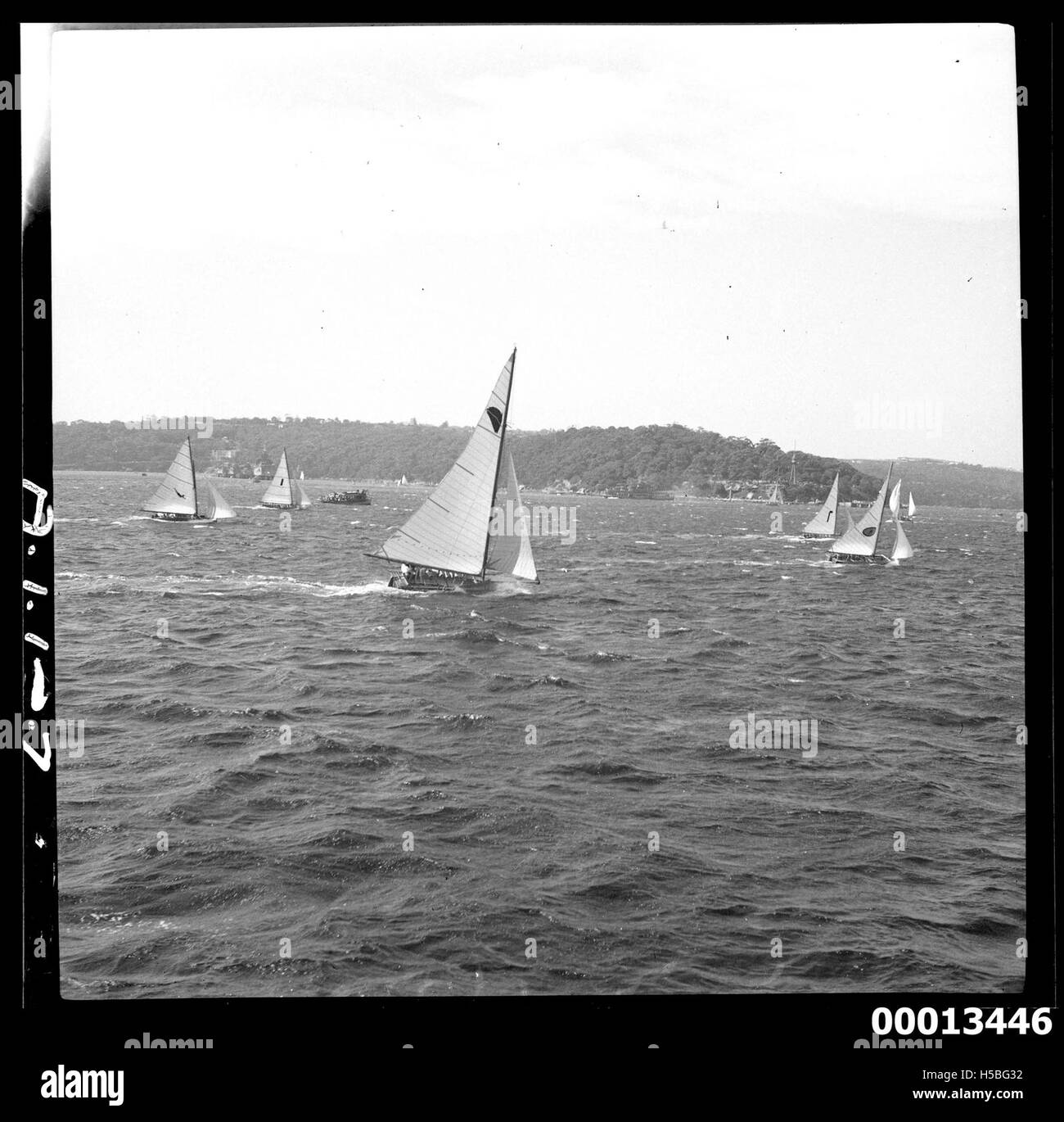 An image of the 18-foot skiff yacht HARMONY sailing on Sydney Harbour ...